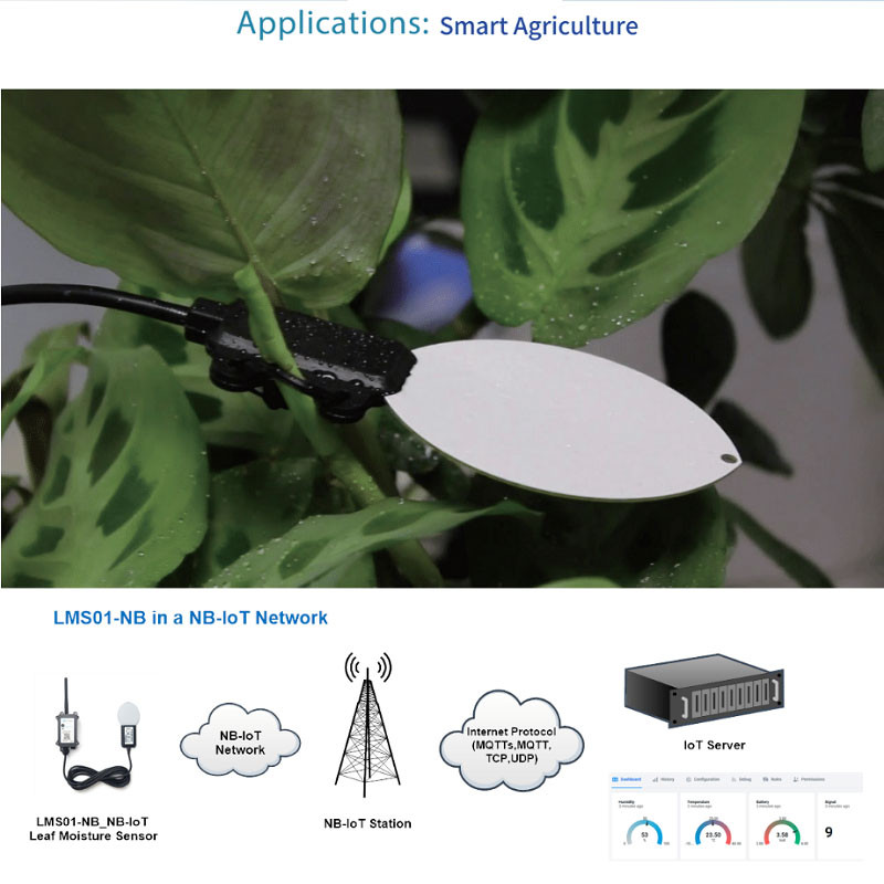 LMS01-NB NB-IoT Leaf Moisture Sensor for IOT Agriculture